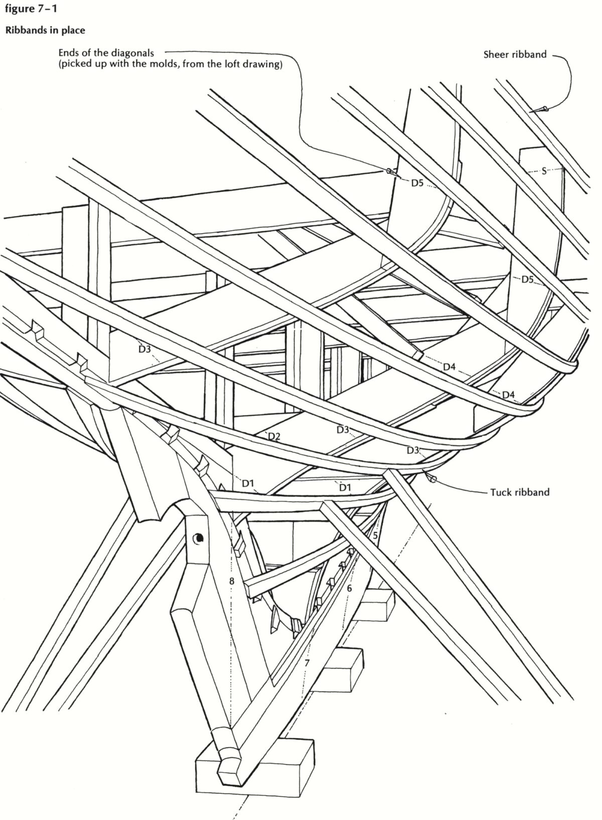 Ribbands and Timbering Out - Mastering Skills with the WoodenBoat School